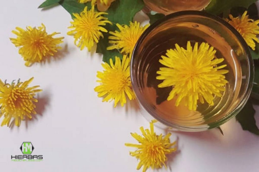 Hierbas medicinales para los calculos renales | Hierbasmedicinaless